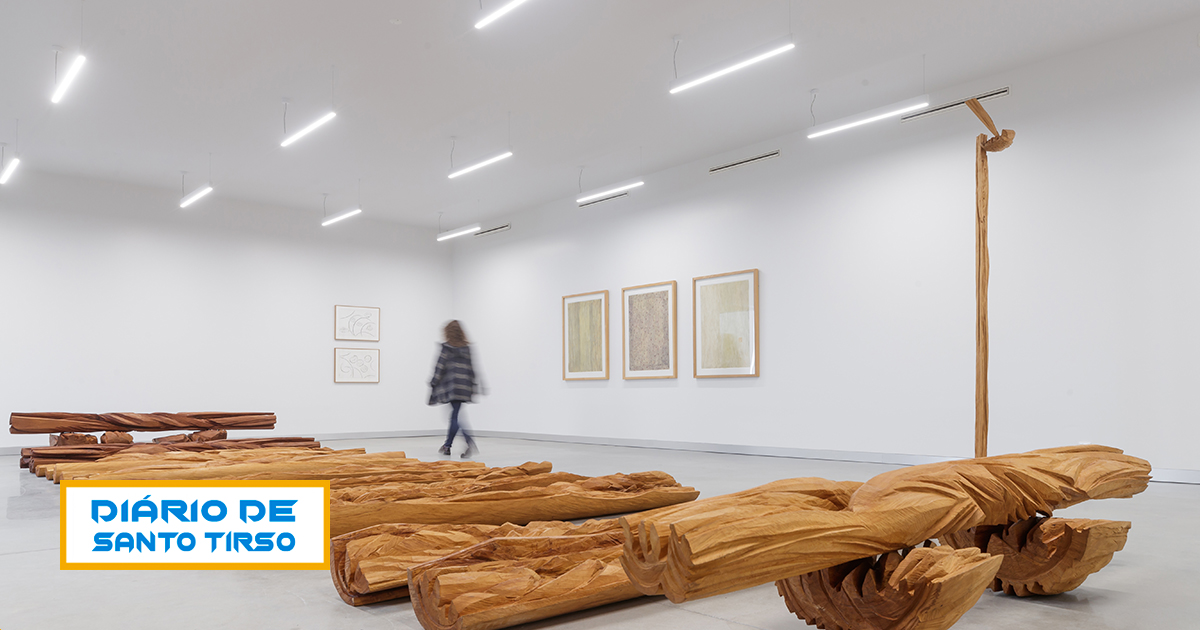 Centro de Arte Alberto Carneiro assume-se como um espaço para a ...